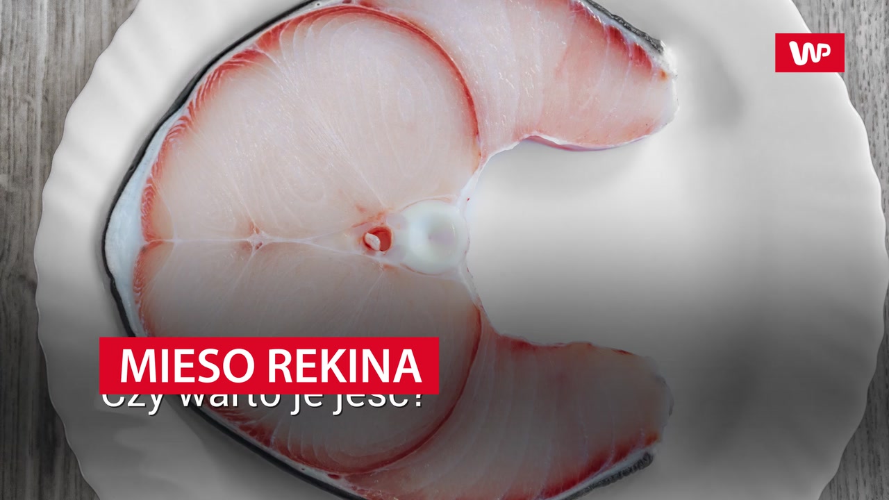 Mięso rekina. Czy warto je jeść?